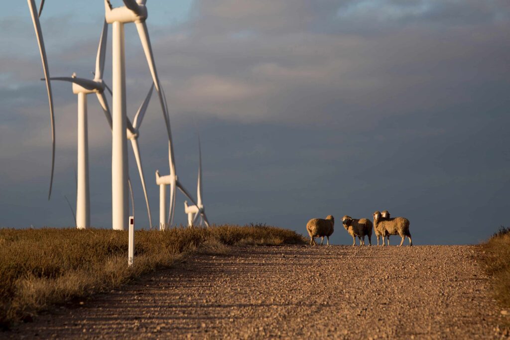 Silverton Wind Farm | Tilt Renewables